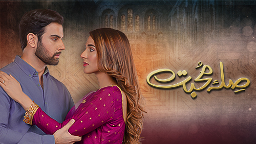 HUM TV Latest Dramas | Watch Latest and Archival Dramas Online
